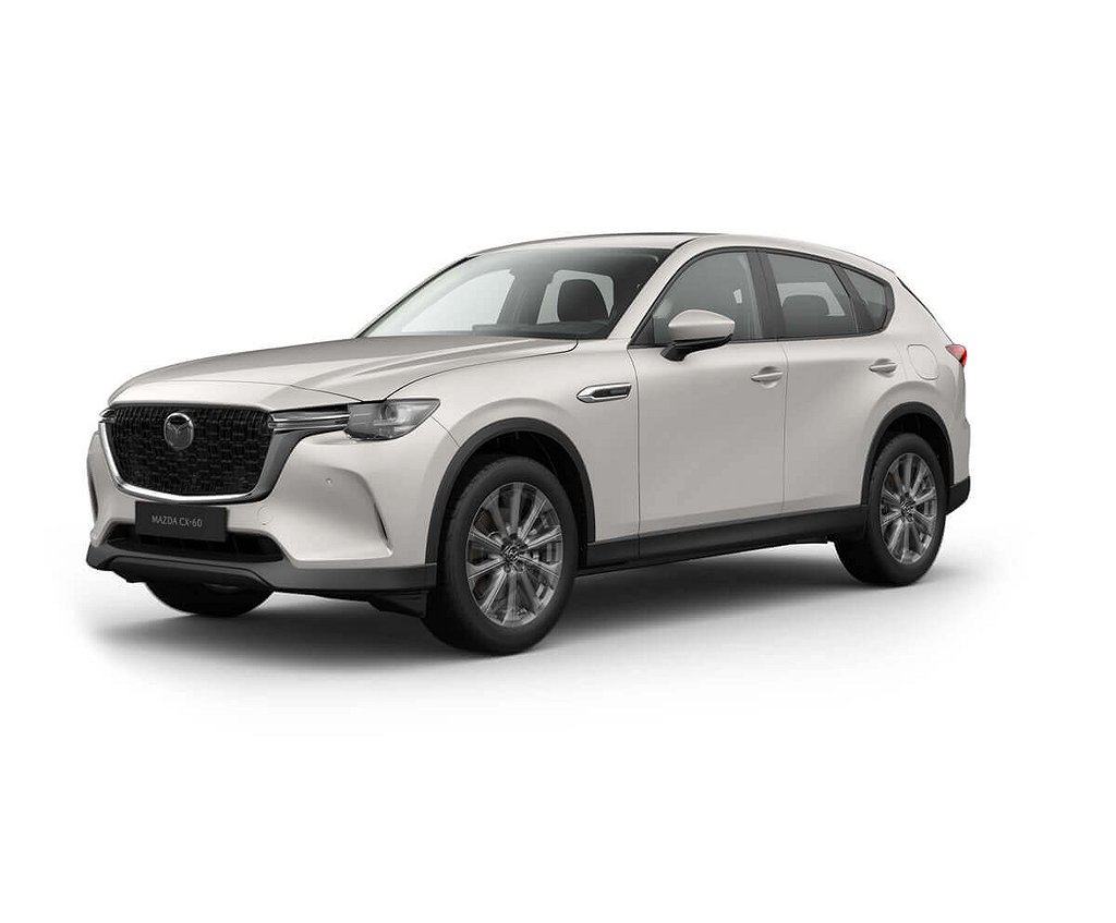 Plugin hybrid privatleasing store